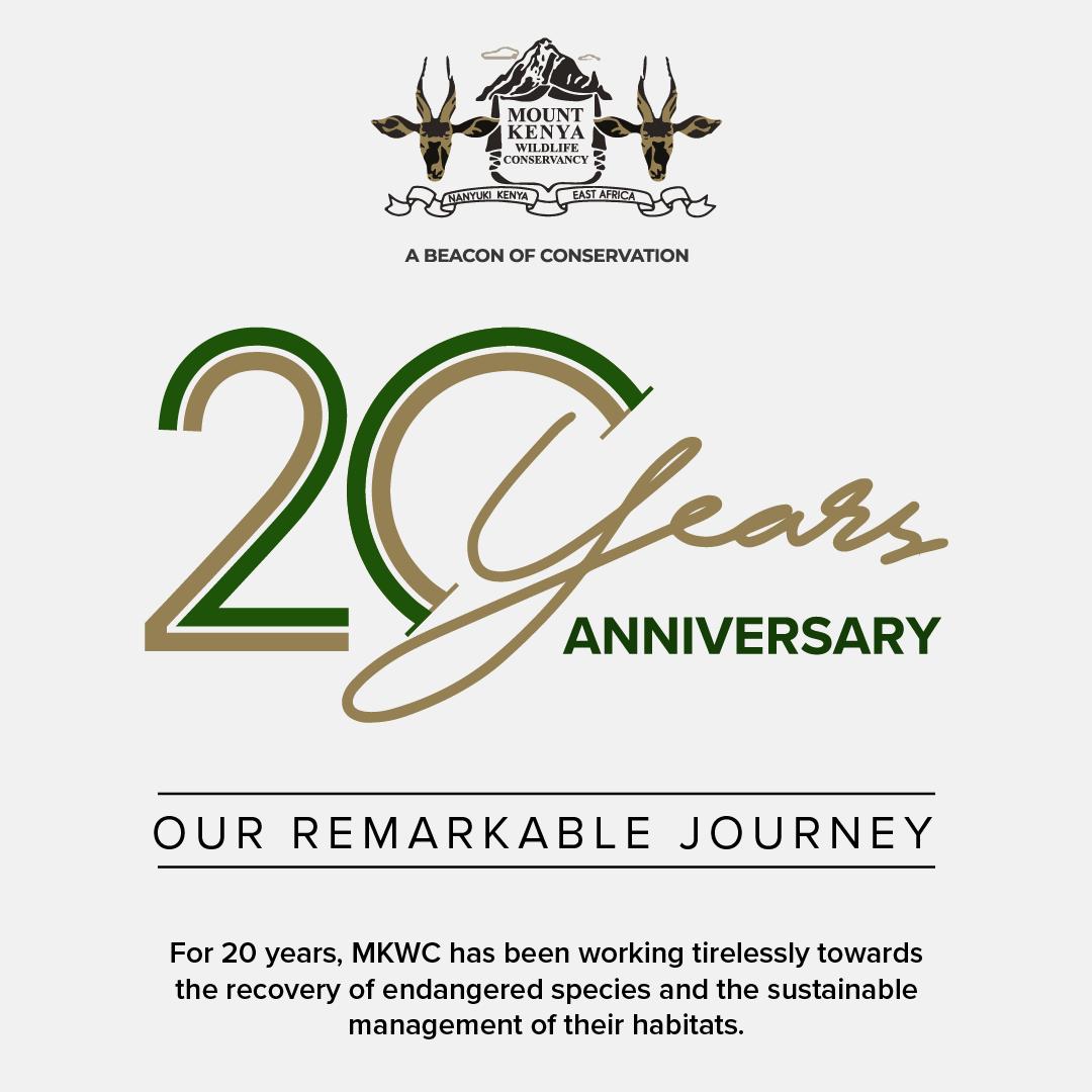 Animal Orphanage at Mount Kenya Wildlife Conservancy: Sanctuary for ...